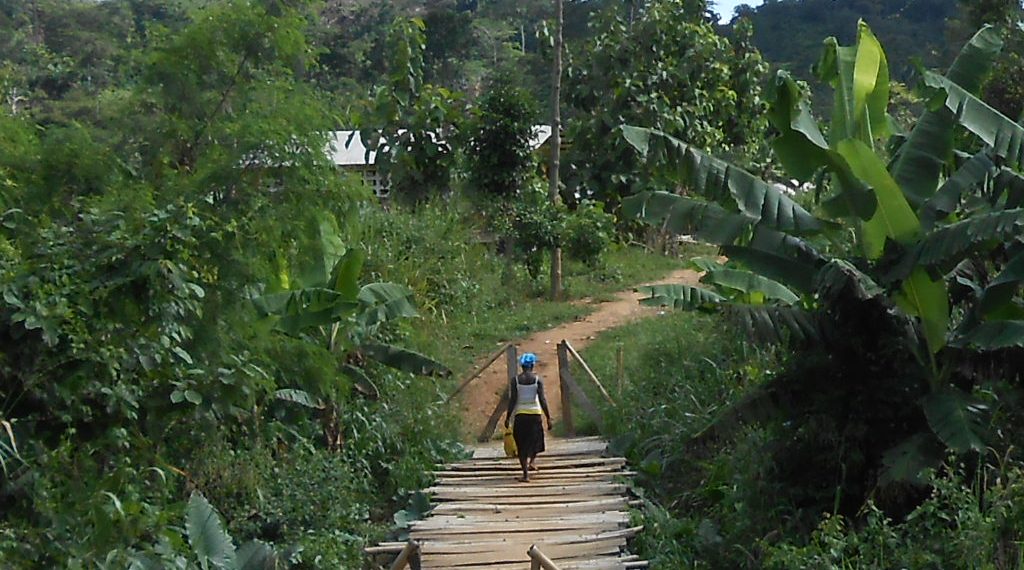 How Etwe Nim Nyansa, Kote Ye Aboa and Hwoa Ye Mmobo got their names ...